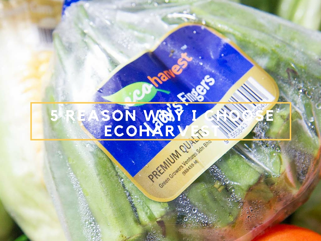 ECOHARVEST: 5 REASONS WHY I BUY ECOHARVEST VEGETABLES | Malaysian Foodie