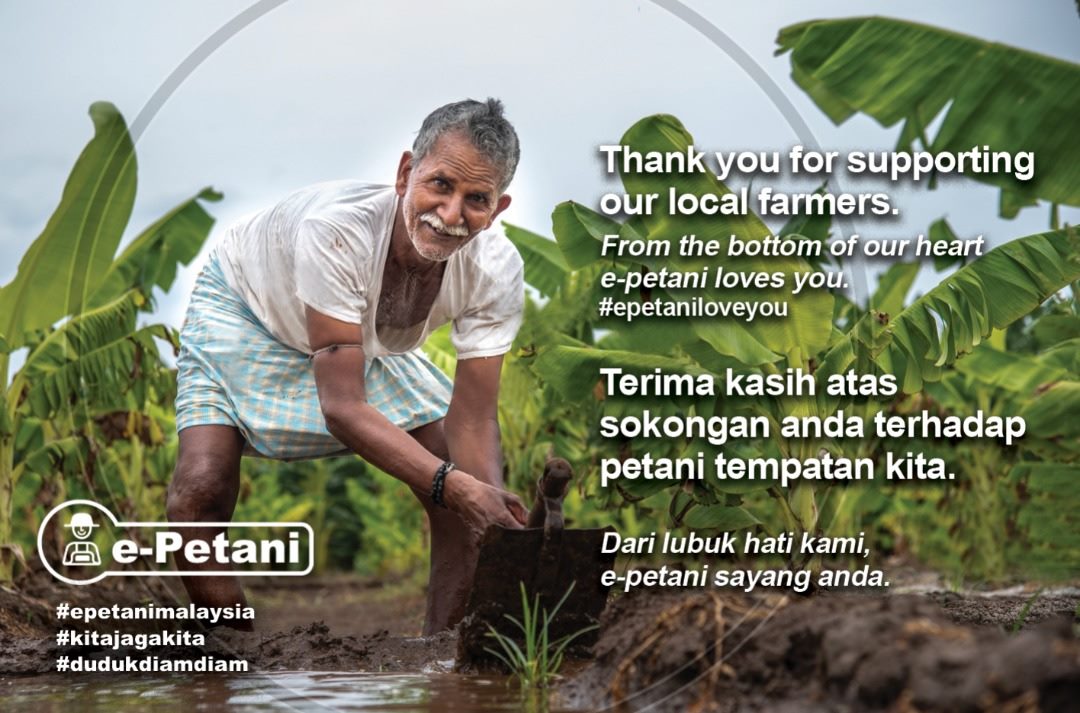 Support Local Vege From E-Petani | Malaysian Foodie