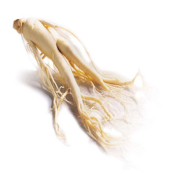 Korea's Representative Health Food, The Origin of K-Food | Malaysian Foodie