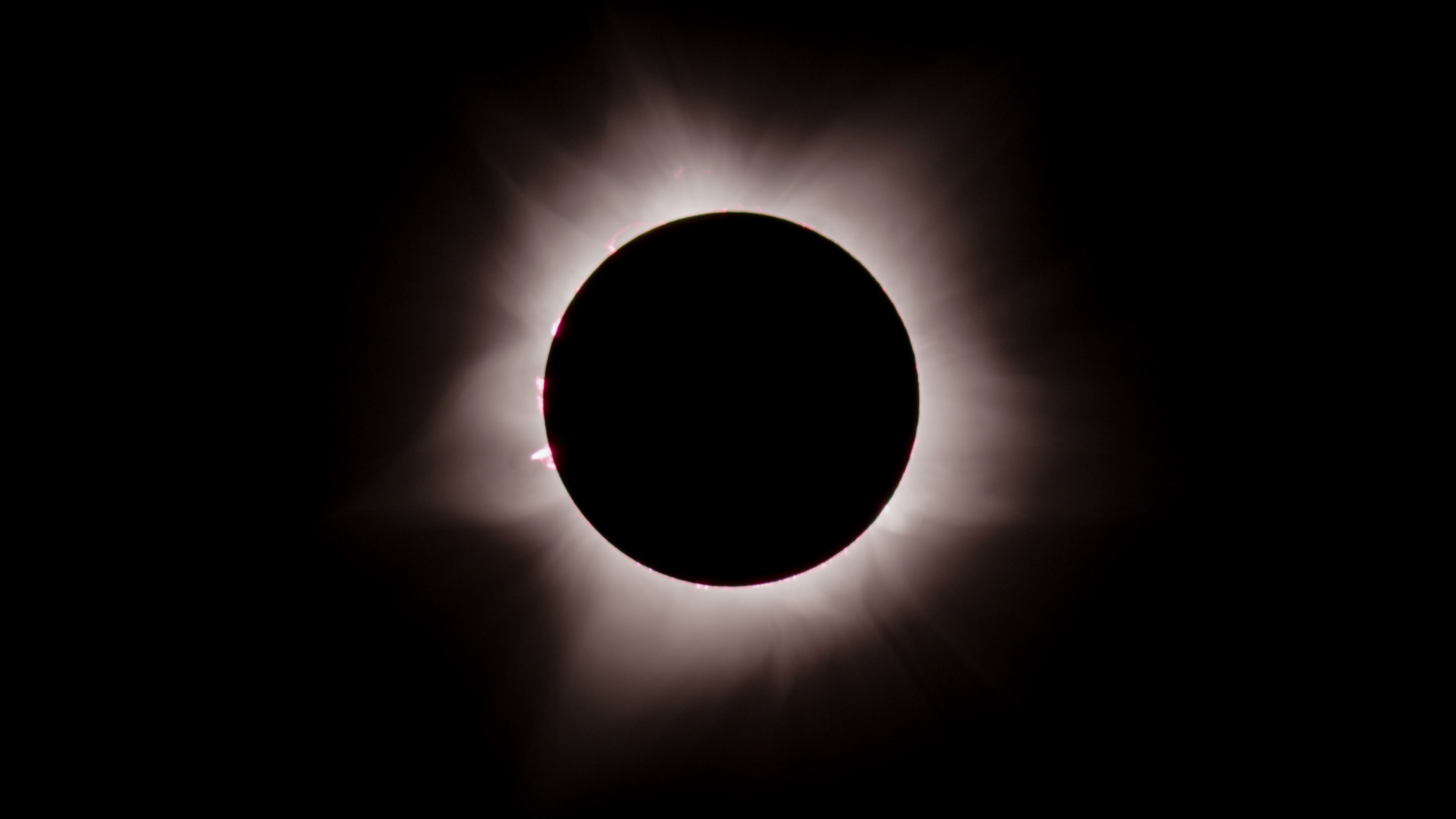 It’s a Total Eclipse of the Marine Park | Malaysian Foodie